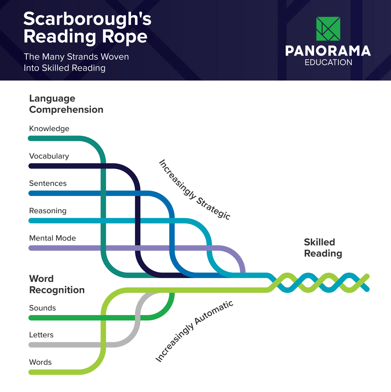 Science of Reading and MTSS: A District Leader’s Guide